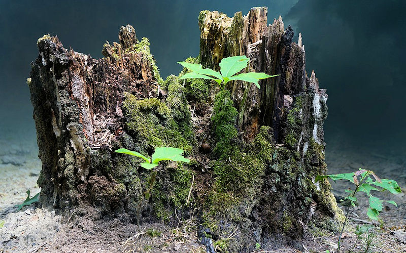 Affronter le chaos qui vient, mode d'emploi | GJ NANCY Porte Sud